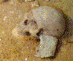 Ka-Do-Ha Indian Village