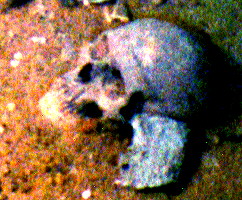 Ka-Do-Ha Indian Village