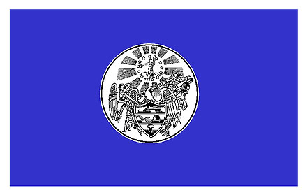 The Arkansas Flag